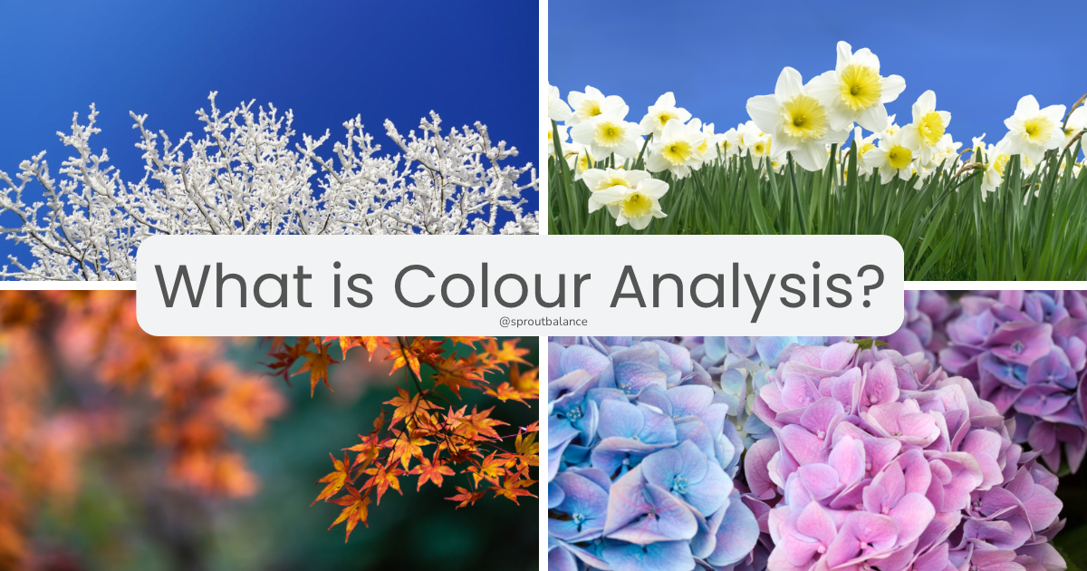 What is Colour Analysis? – Sprouting Balance